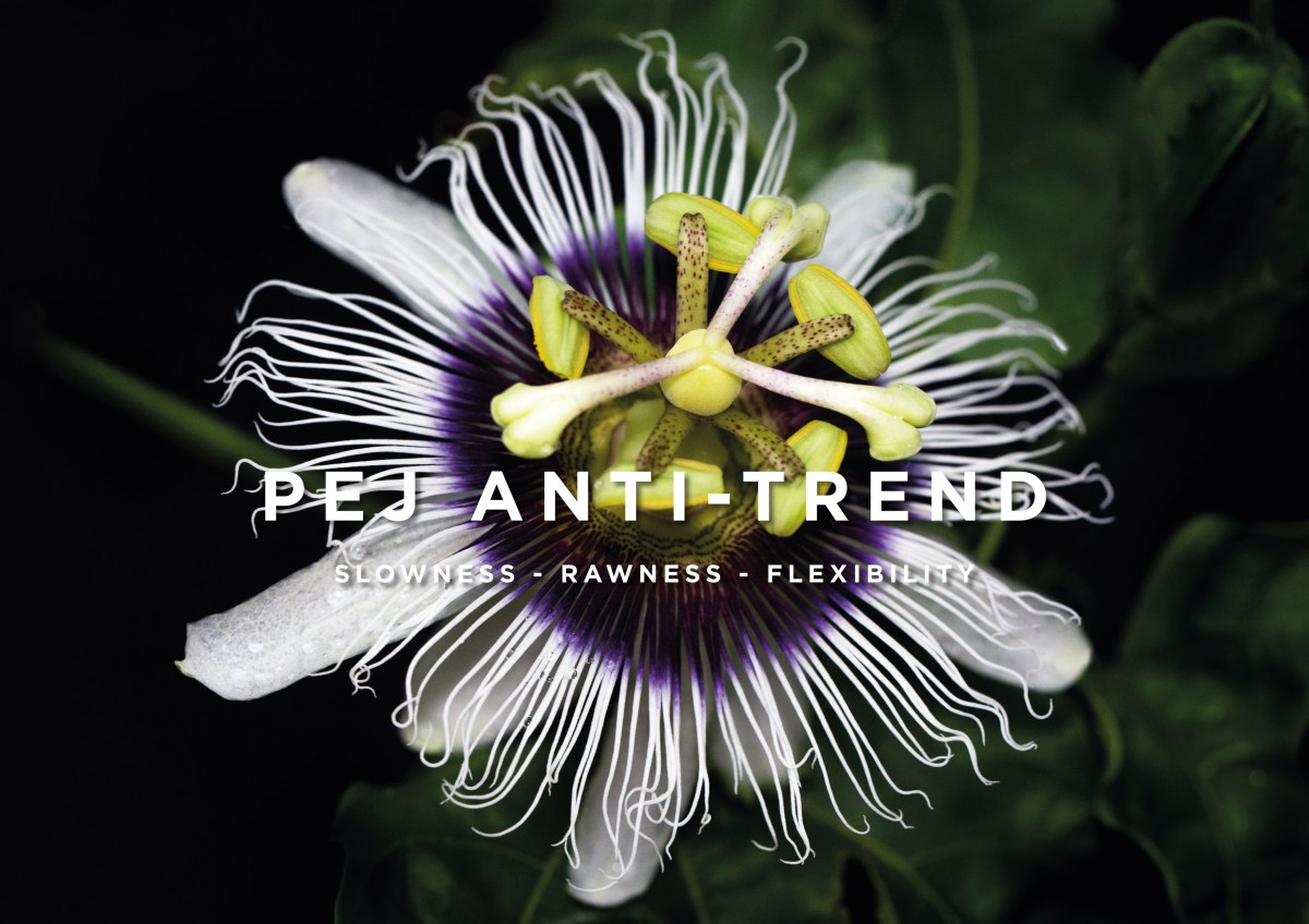 Anti-trend report – The Immaterialist